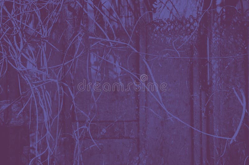 Abstract Plum and Purple Colors Background for Design Stock Photo ...