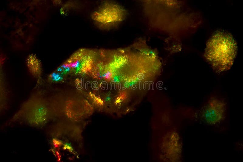 Abstract Polarizing Micrograph of Sand Grains from Hooiberg Mountain ...