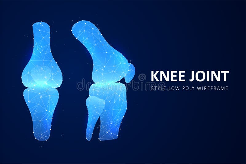 Abstract Polygonal Knee-joint Stock Vector - Illustration of abstract ...