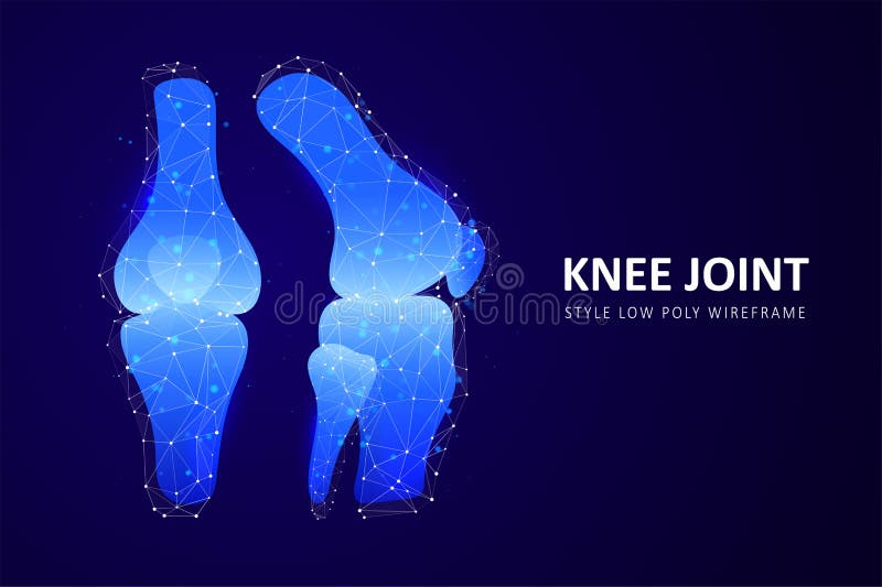 Abstract Polygonal Knee-joint Stock Vector - Illustration of medical ...