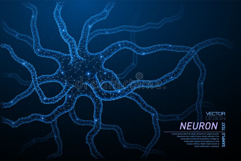 Neuron cell structure. stock vector. Illustration of abstract - 129648591