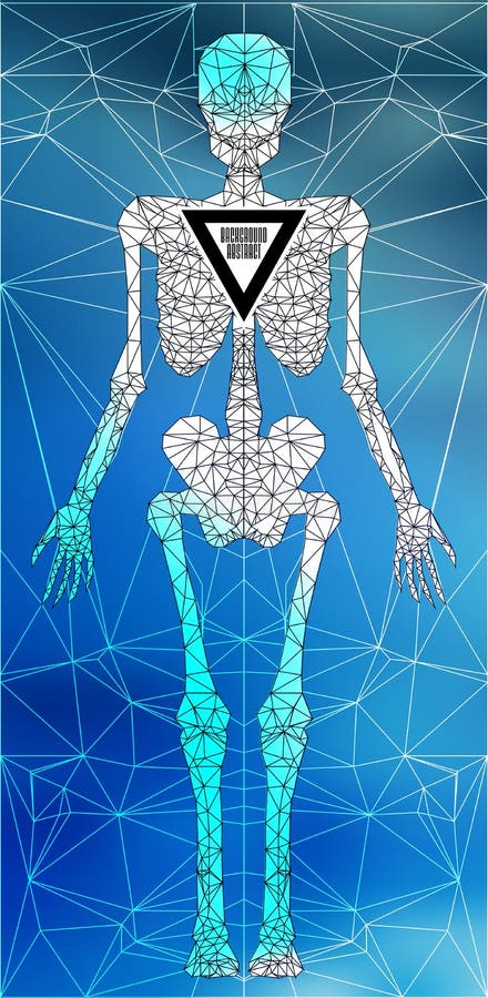 Abstract Polygonal Skeleton Stock Vector - Illustration of lines ...