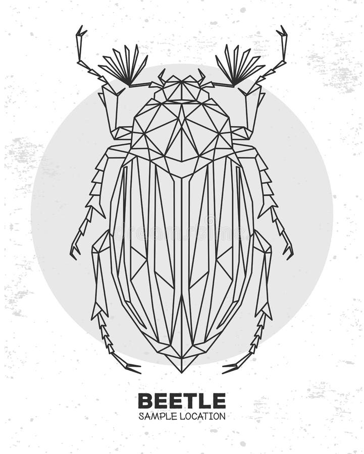 Abstract Polygonal Triangle Beetle. Artistic Bug. Entomological ...