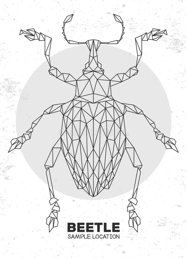 Abstract Polygonal Triangle Curculionidae Beetle. Artistic Bug ...