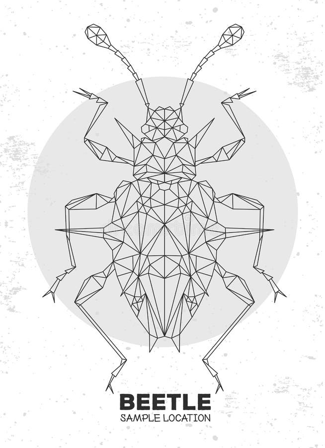 Abstract Polygonal Triangle Endomychidae Beetle. Artistic Bug Stock ...