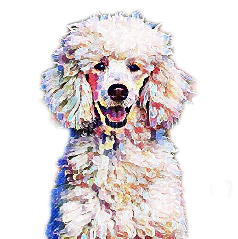 Abstract Poodle design stock illustration. Illustration of alive ...