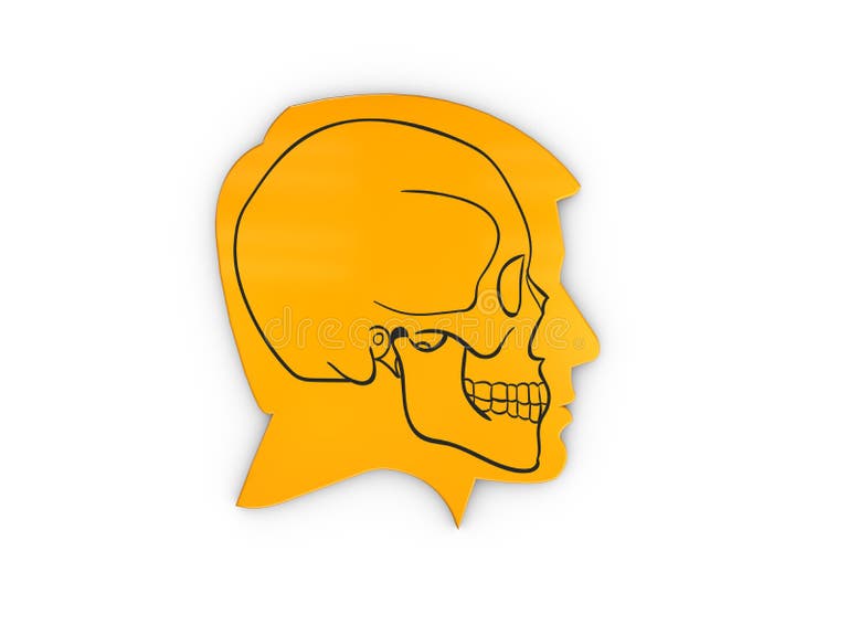 Abstract Profile a Human Head and Skull, 3d Illustration White Stock ...