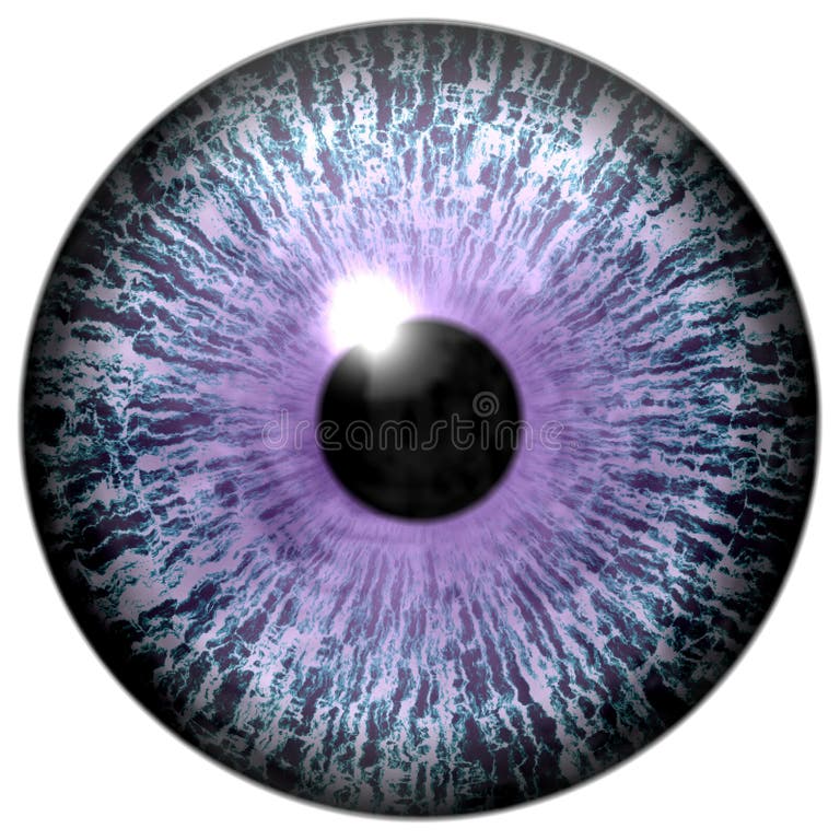 Abstract Purple Eye on White Stock Illustration - Illustration of ...