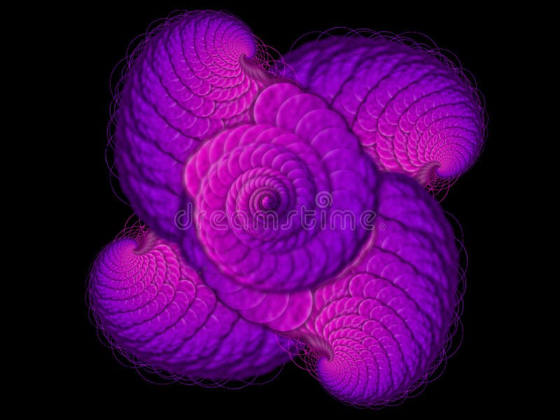 Abstract Purple Shell Picture. Image: 13623548
