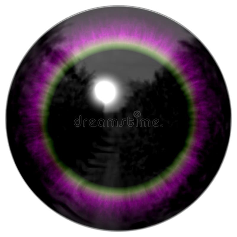 Abstract Purple Soft Eye Isolated on White Stock Illustration ...