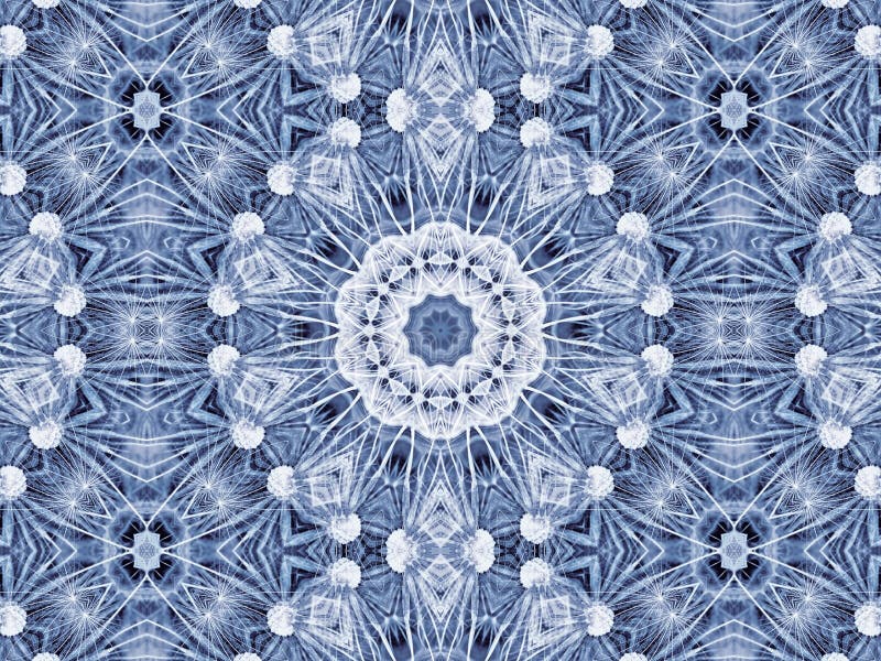 Abstract Radial Pattern of Natural Large Dandelion Flower Stock ...