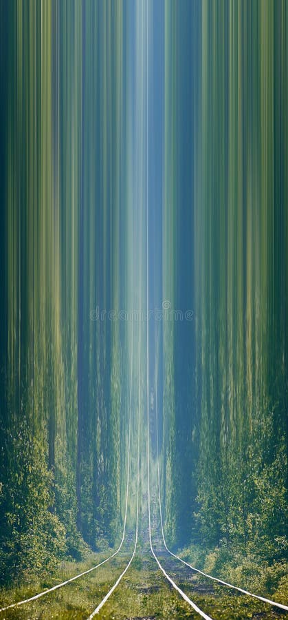 Abstract Railroad Tracks in the Green Grass between Leafy Trees Stretch ...