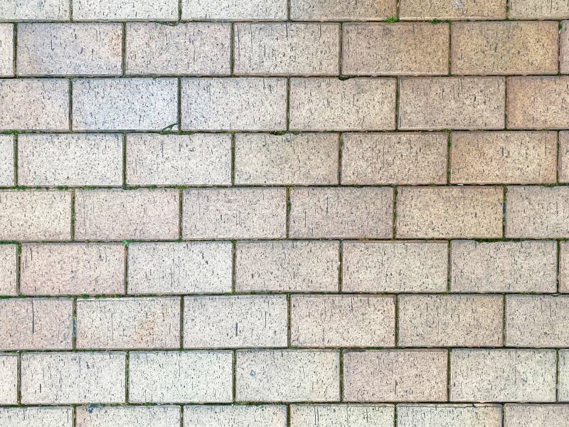 Path pattern stock photo. Image of path, classic, simple - 14161816