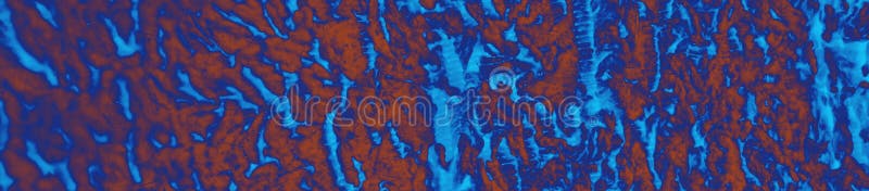 Abstract Red and Blue Colors Background for Design Stock Illustration ...