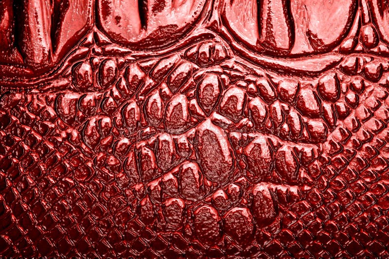 Abstract Red Crocodile Leather, As Background Stock Photo - Image of ...