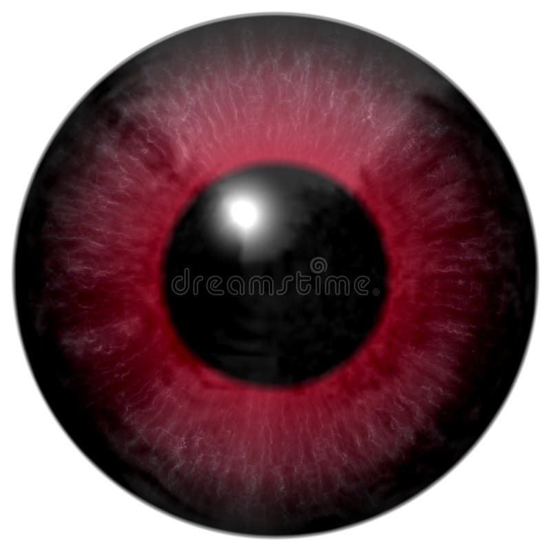 Abstract Red Eye Isolated on White Stock Illustration - Illustration of ...