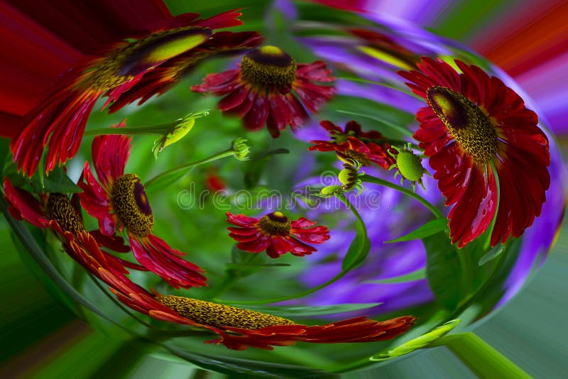Abstract, Red Flowers in a Capsule Stock Image - Image of capsule ...