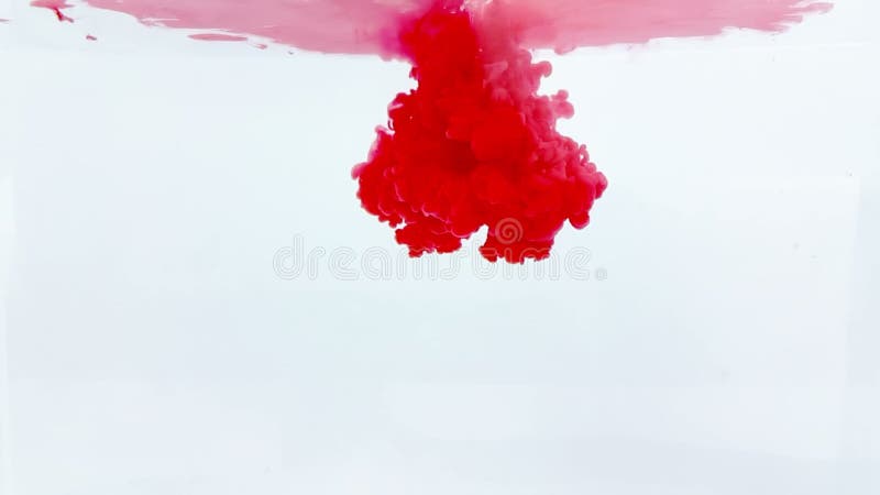 Abstract Red Ink Splash in Water on White Background Stock Footage ...