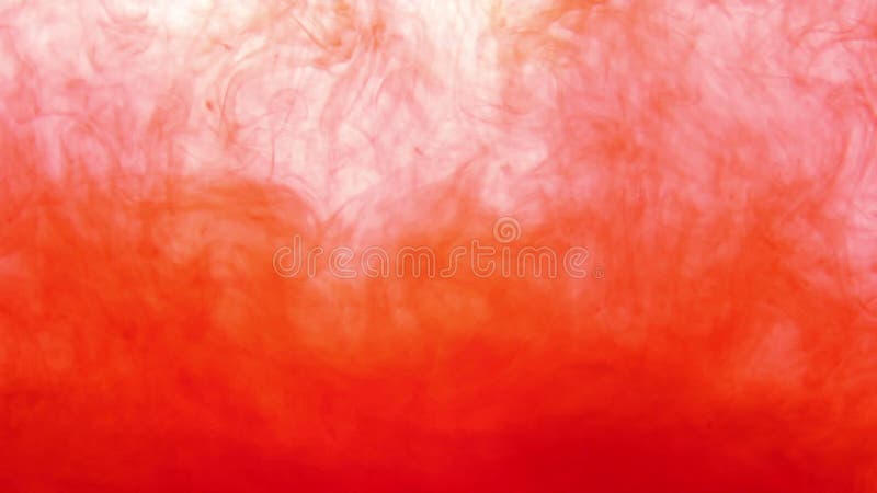 Abstract Red Ink in Water on White Background Stock Video - Video of ...