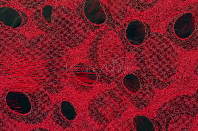 Abstract Red Leather Texture with Dark Oval Holes, Organic Pattern ...