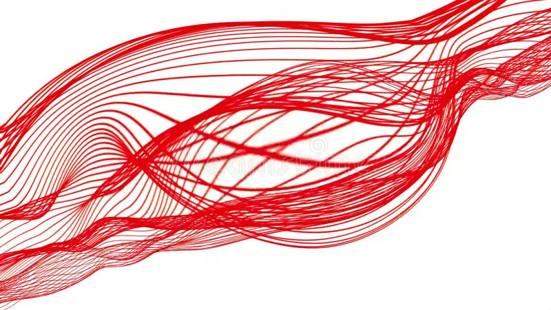 Abstract Red Lines on White Background Stock Video - Video of fluid ...