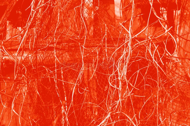 Abstract Red and Orange Colors Background for Design Stock Photo ...