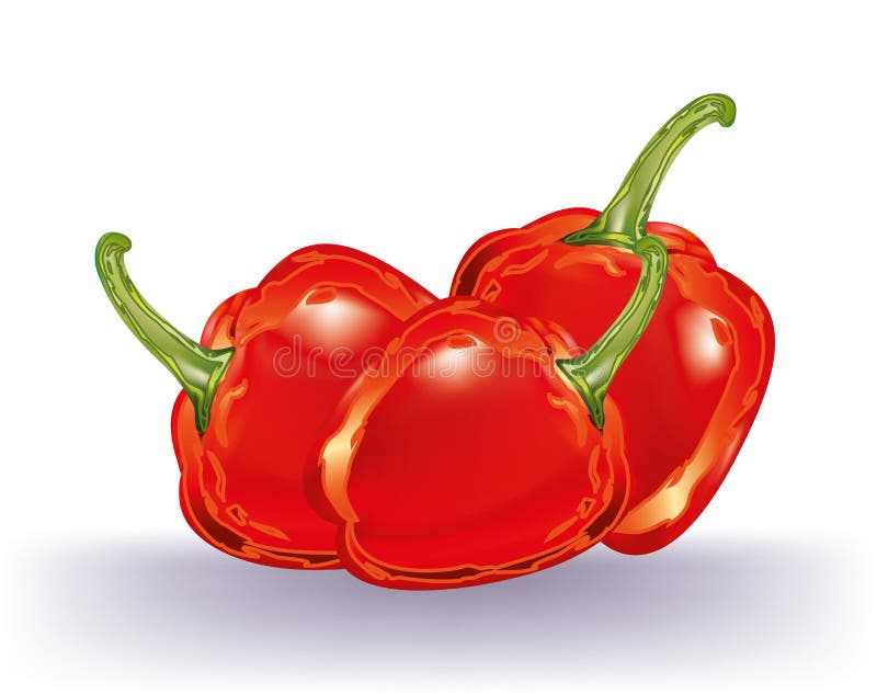 Stuffed peppers stock illustration. Illustration of organic - 21252439