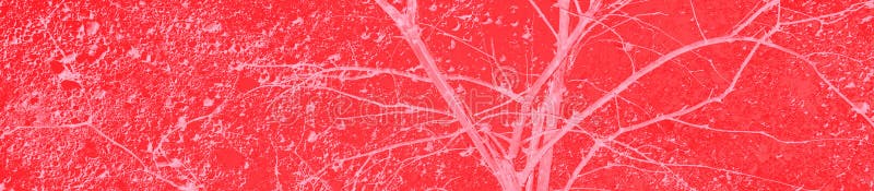 Abstract Red, Pink and Coral Colors Background for Design Stock Image ...