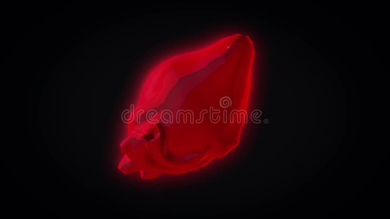 Abstract Red Realistic Heart Beating and Rotating Isolated on Black ...