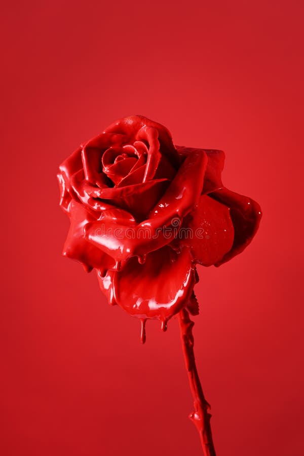 Abstract red rose stock photo. Image of design, romantic - 304187448