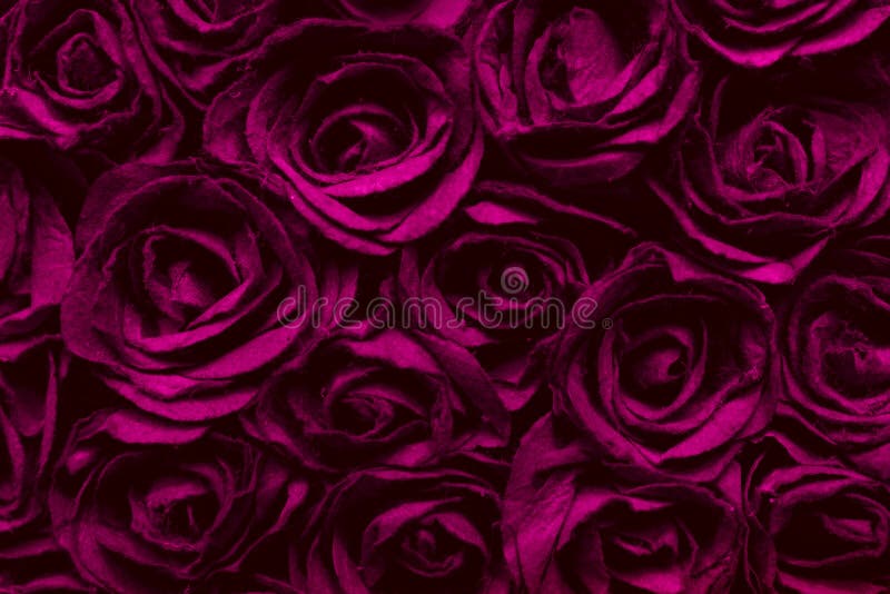 Abstract Red Rose Surface Texture Background Stock Image - Image of ...