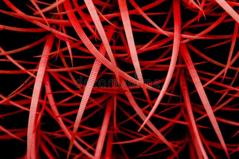 Abstract Red Stripe Texture for Backgrounds. Red Lines Pattern on a ...