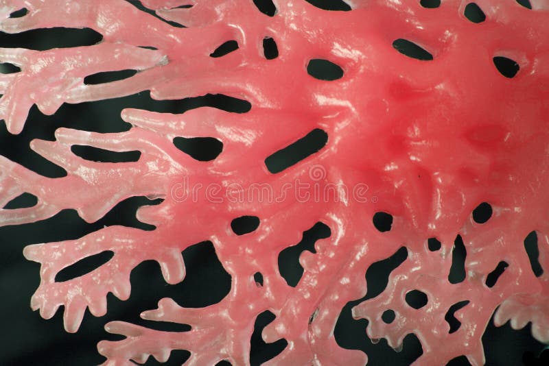 Abstract Redcoral Background Stock Photo - Image of coral, light: 87935594