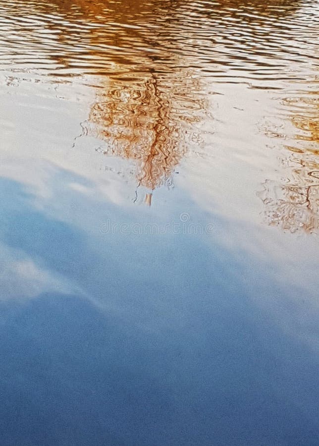 Abstract Reflection Background Yellowed Trees, Sky with Clouds in ...