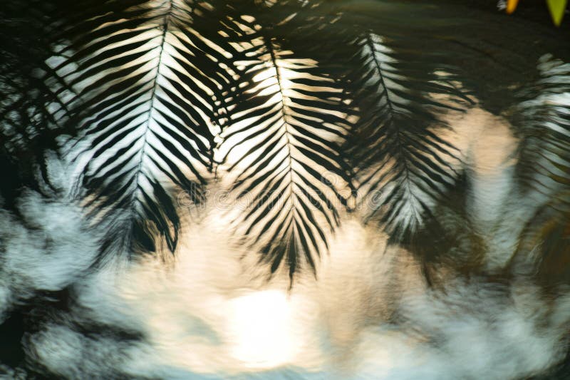 Abstract Reflection on Mirror Surface Stock Illustration - Illustration ...