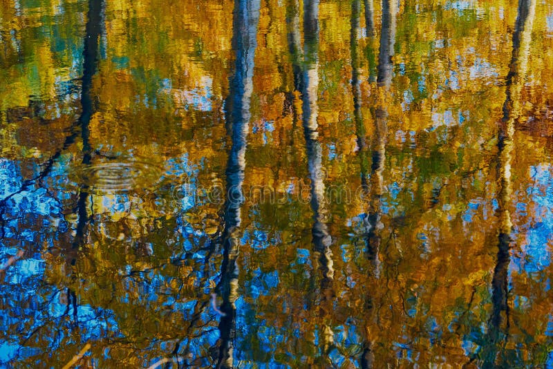 Abstract Reflection of Trees in Water with Ripples Stock Image - Image ...