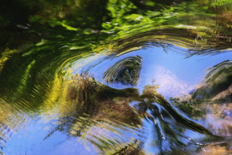 Abstract Reflections of the Forest on a Clear, Natural Water Stream ...