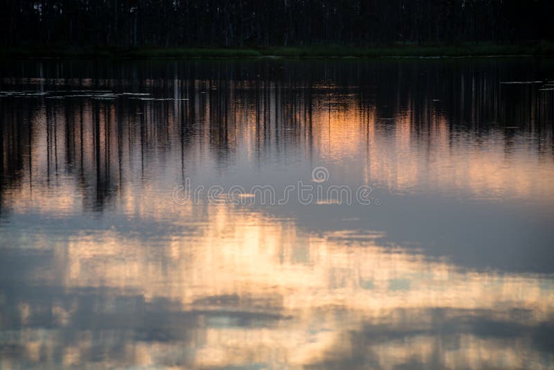 Abstract Reflections of the Trees in the Water Stock Photo - Image of ...