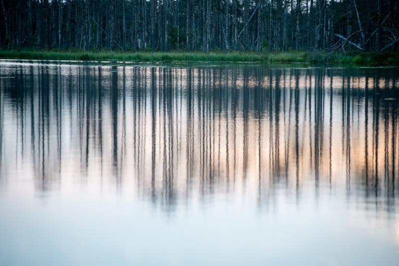 Abstract Reflections of the Trees in the Water Stock Photo - Image of ...