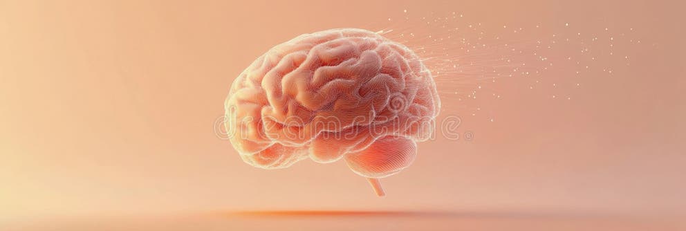 Abstract Representation of a Brain with Neural Connections on Orange ...
