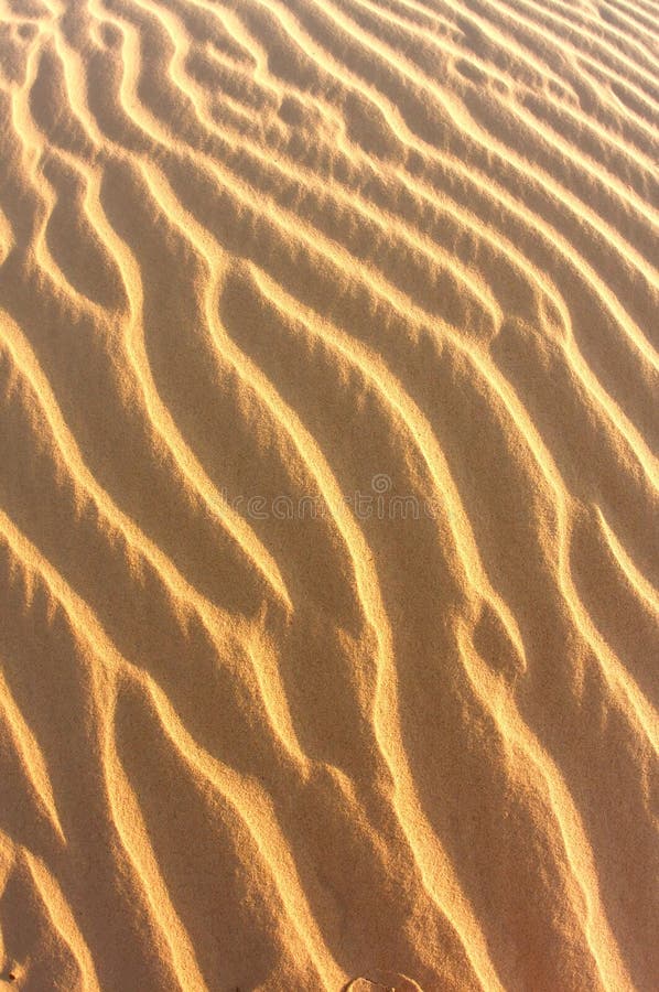Desert Sand Dune stock image. Image of ripple, texture - 4197015