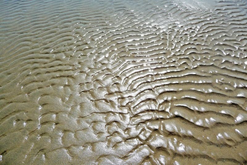 Abstract Ripples in Wet Sand Stock Image - Image of abstract, sand ...