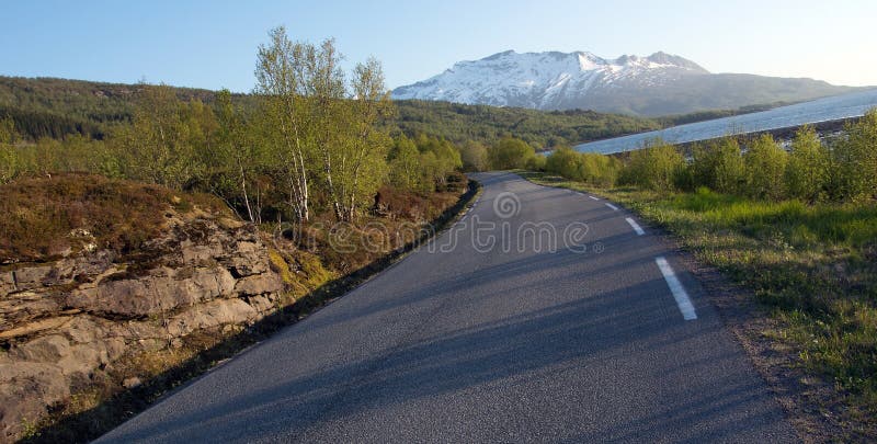 Abstract road and trees stock photo. Image of abstract - 45147166