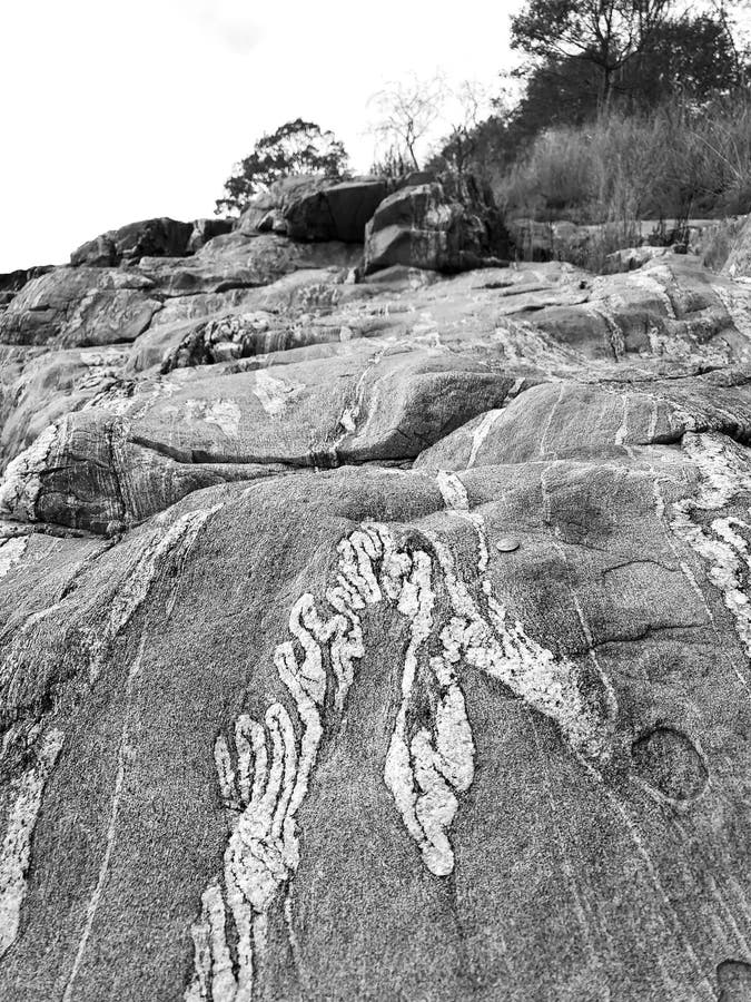 Abstract Rock Pattern with Swirls and Curves in Black and White ...