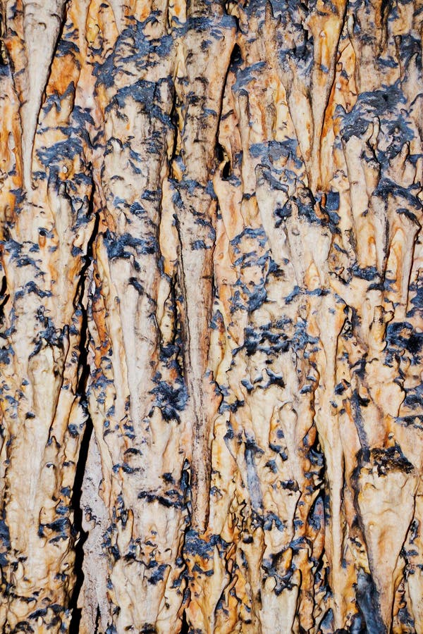 Abstract rocks stock photo. Image of abstract, underground - 29544374