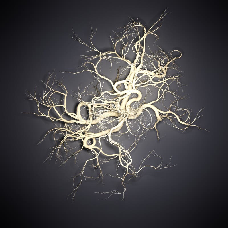 Dna Roots Stock Illustrations – 125 Dna Roots Stock Illustrations ...