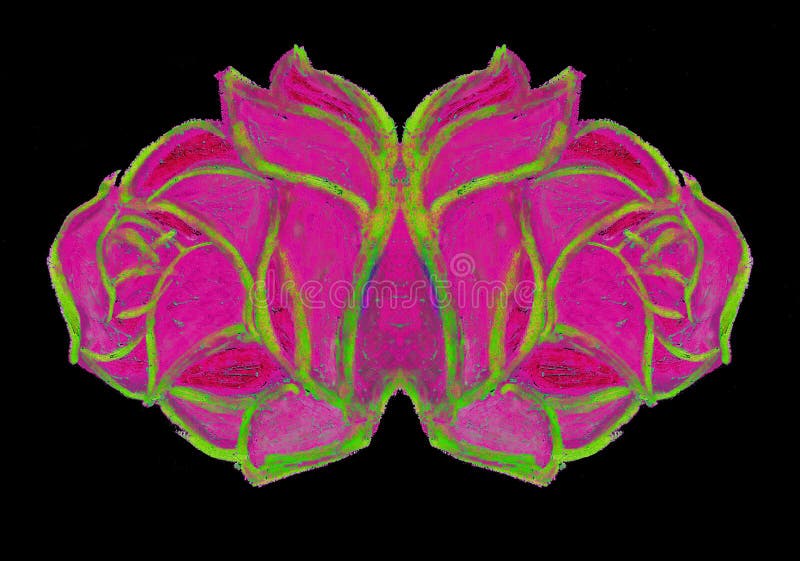 Abstract Rose Image. Manual Drawing Stock Illustration - Illustration ...