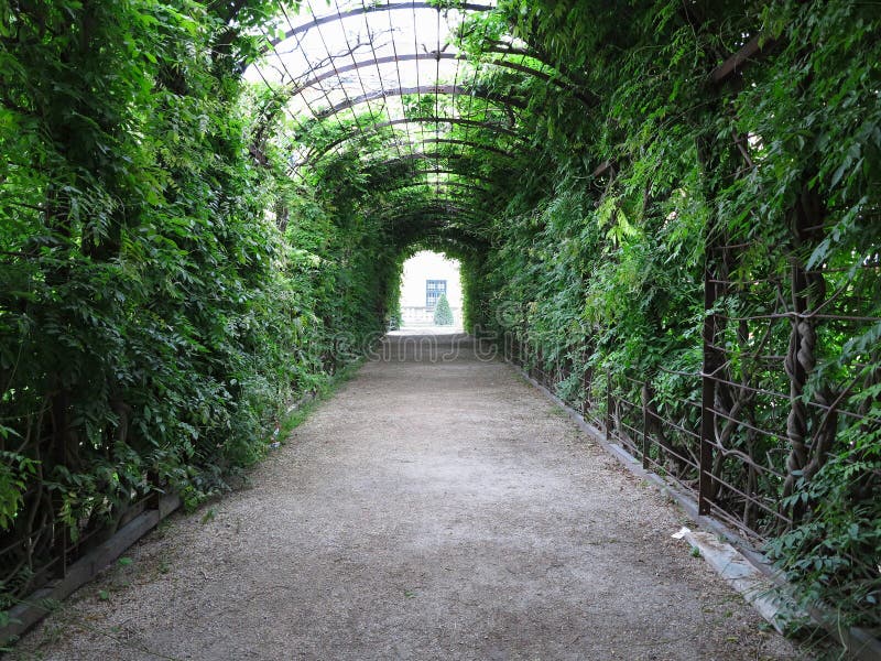 Abstract Rural Country Road in Forest, the Path into Distance Stock ...