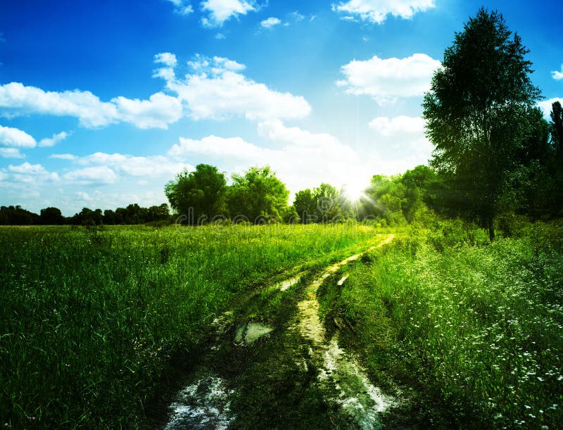 Abstract rural landscape stock image. Image of ripe, lawn - 25244747