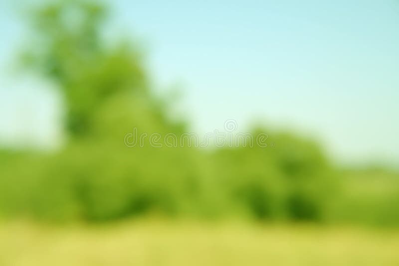 Abstract rural landscape stock photo. Image of lawn, fresh - 43290570